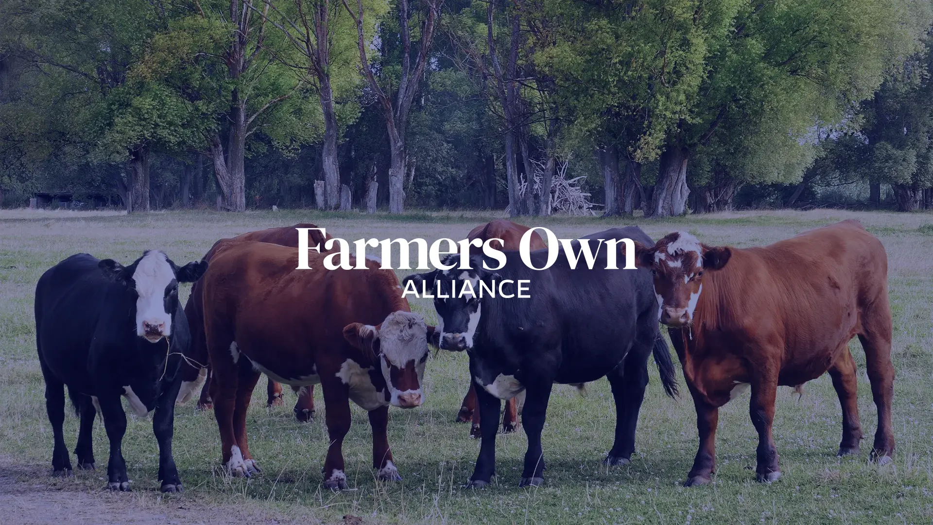 Our Proposal | Farmers Own Alliance